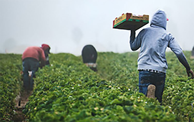 What Does It Take to Call a Place a Home? A Conference on Undocumented ...